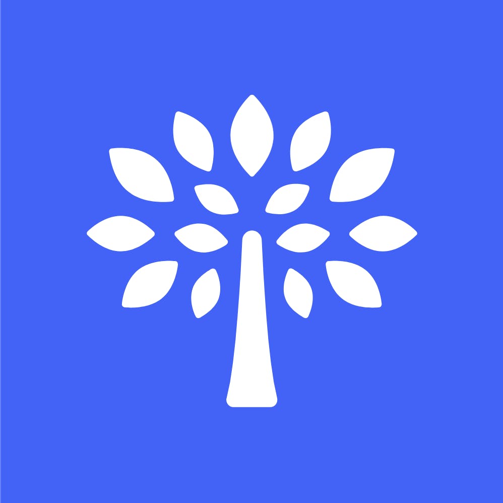 Canopy Connect - AI Automation